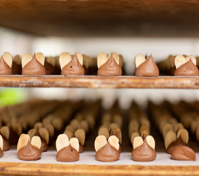 Artisan Chocolate Bonbons & Truffles | Burdick Everyday Assortment – L ...